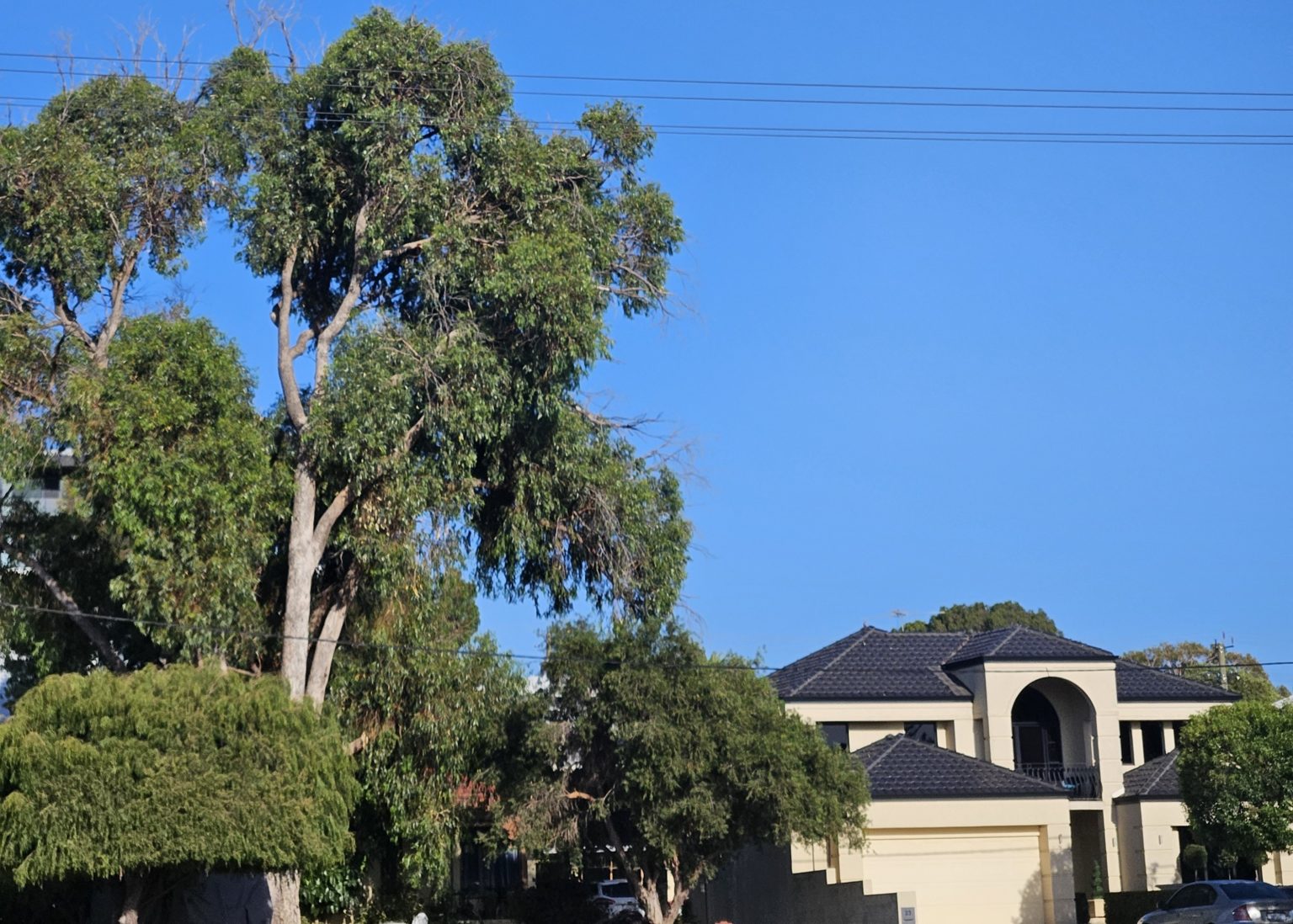 Sustainable Stirling – For a more livable city